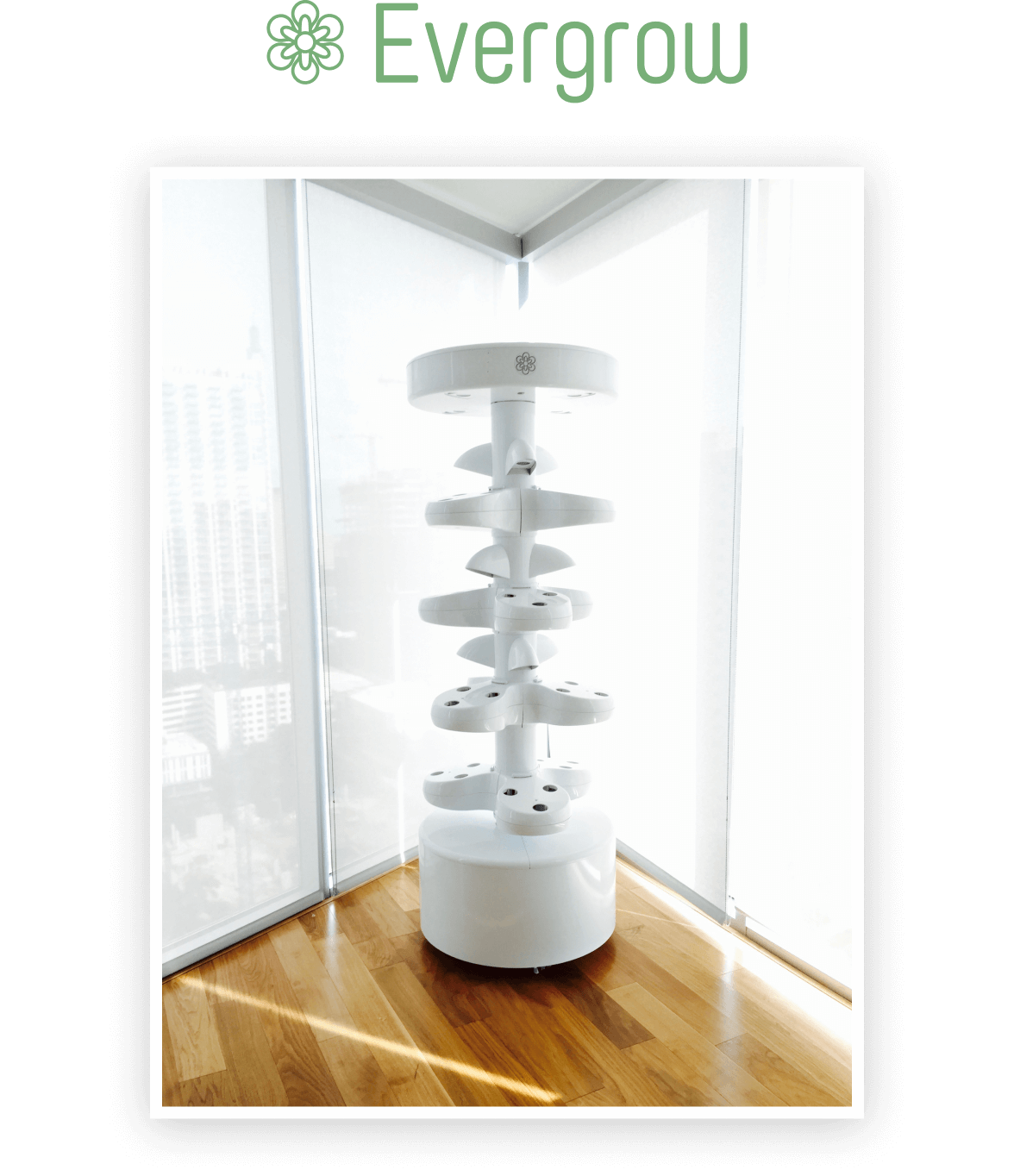 About Mike Dillard | Mike Dillard